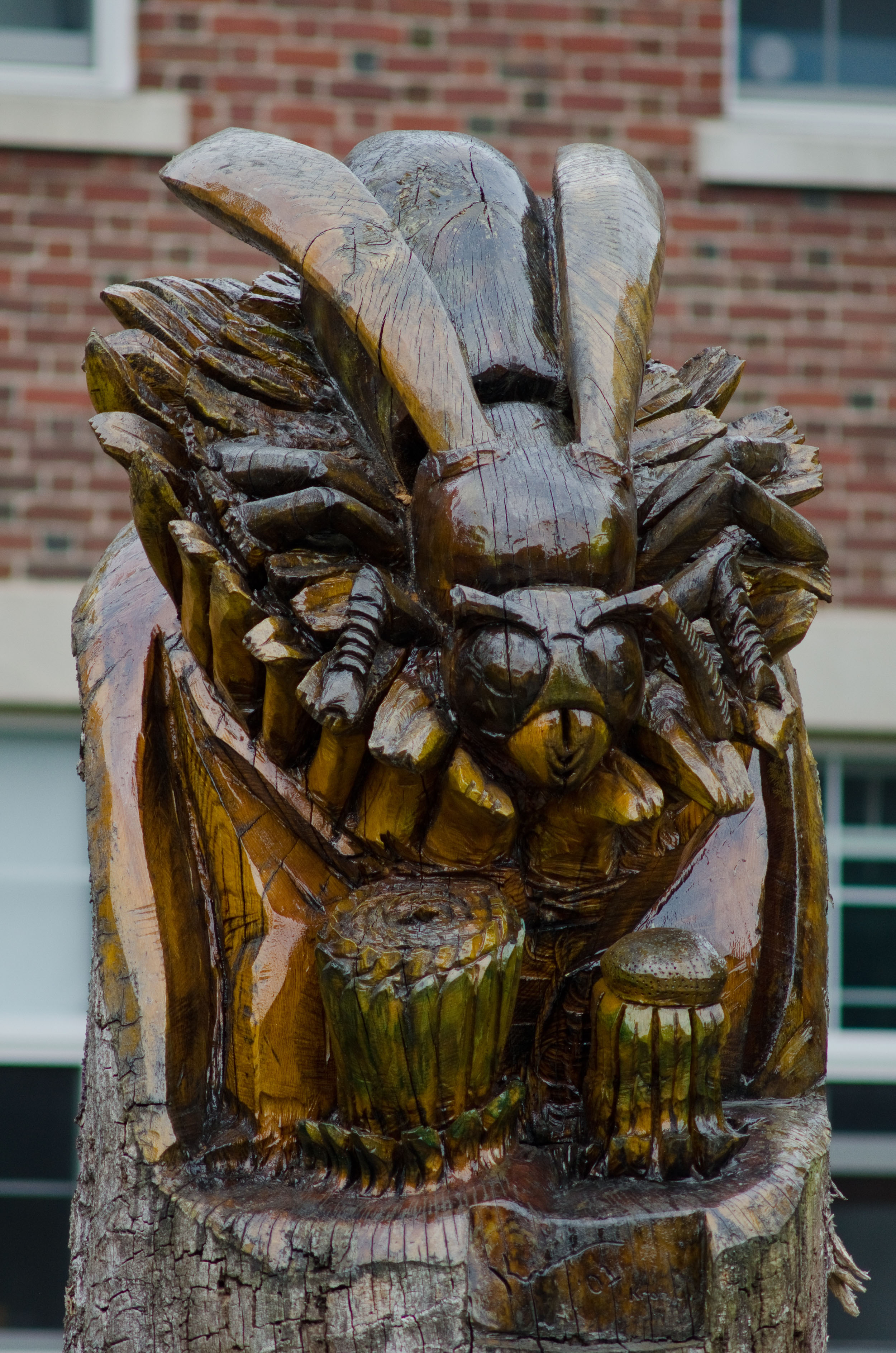 Accessing the hive mind, in Review | River Campus Libraries